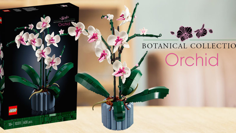 LEGO breidt Botanical Collection uit met Orchidee 10311 & Vetplanten ...
