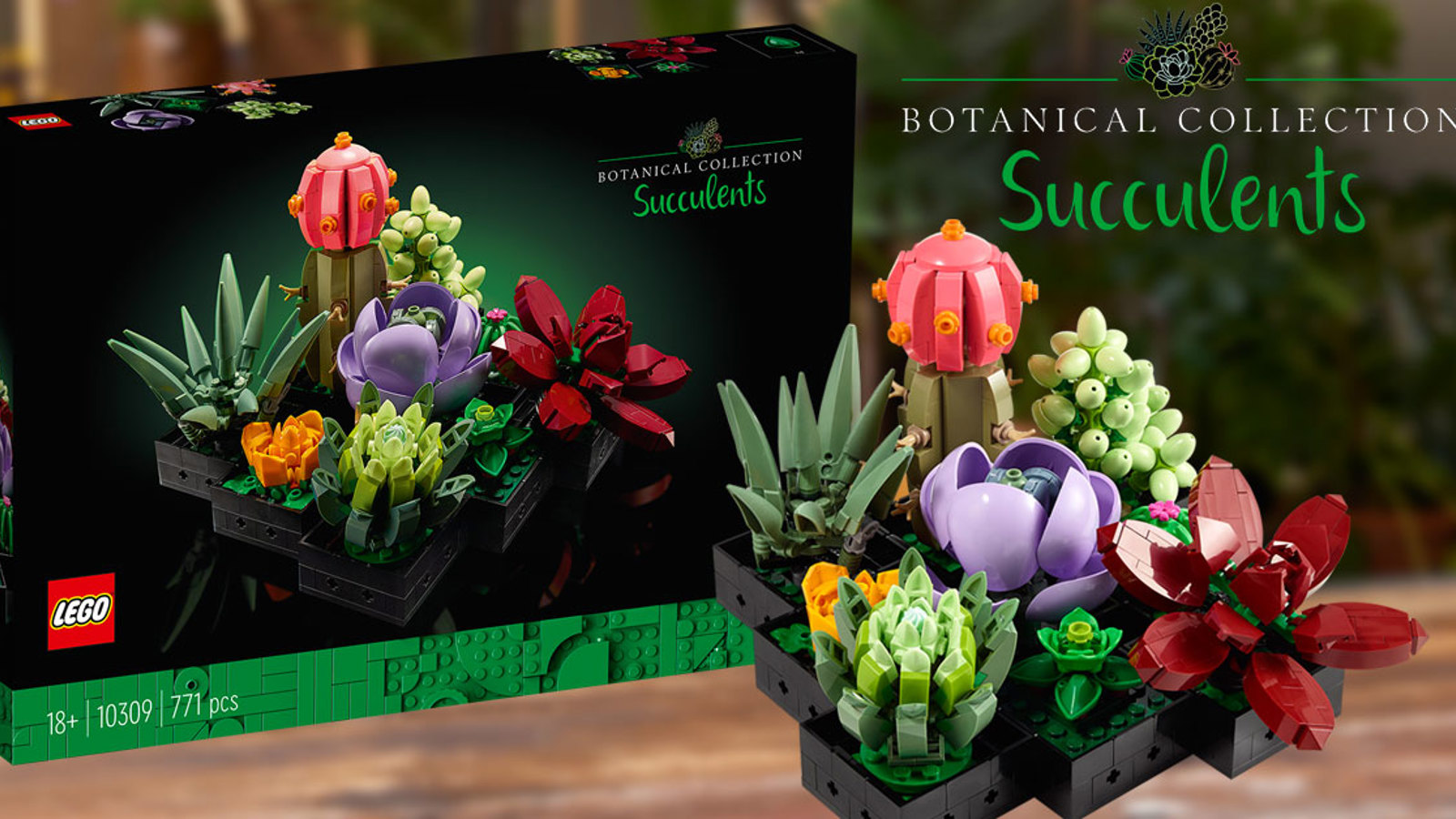 LEGO breidt Botanical Collection uit met Orchidee 10311 & Vetplanten ...